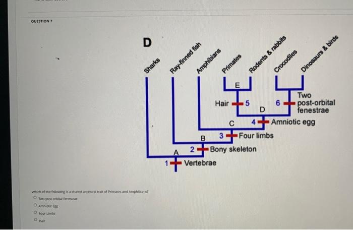 Solved Thi gour grtite tenesrar Fout Limtid 14is Which of | Chegg.com