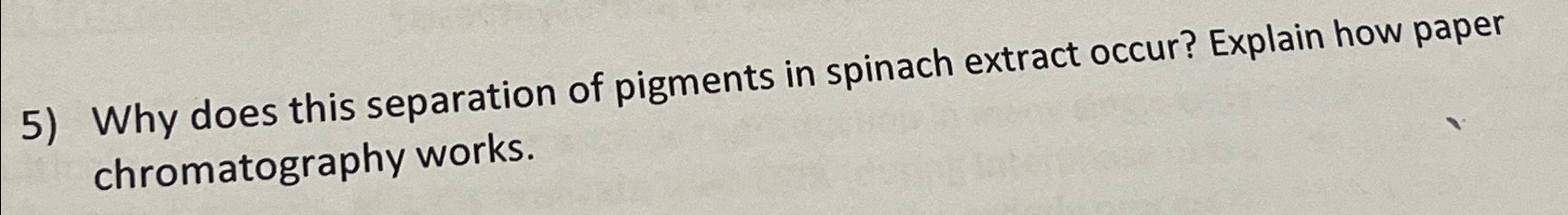 Solved Why does this separation of pigments in spinach | Chegg.com