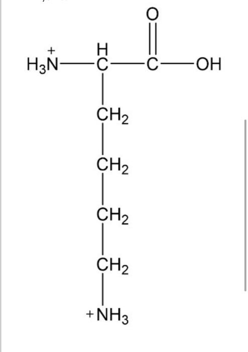 Solved The structure of lysine is shown in its pully | Chegg.com