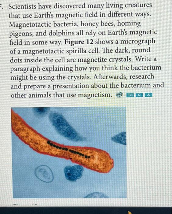 Solved 3. Describe how you would use the right-hand rule to | Chegg.com