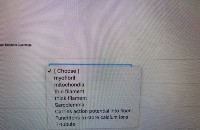 Solved Match structure numbers from the illustration above | Chegg.com