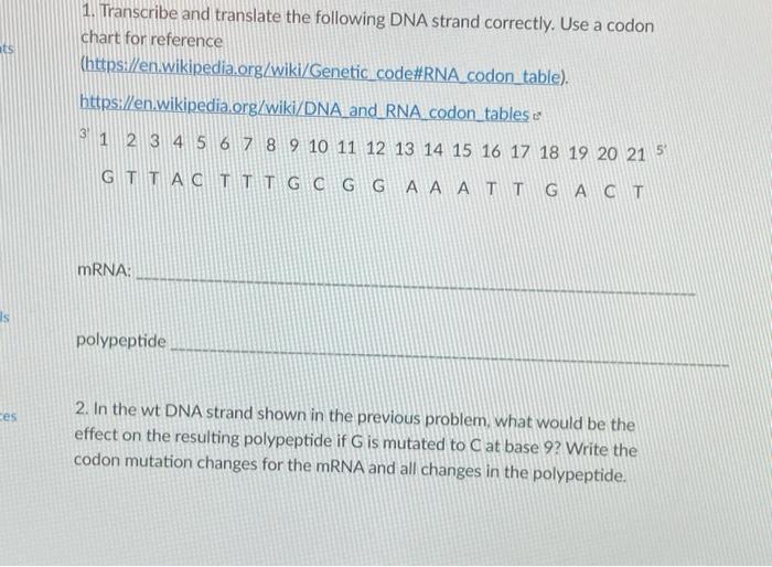 Solved 1. Transcribe and translate the following DNA strand | Chegg.com