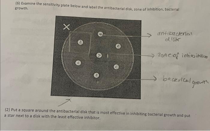 Solved (6) Examine the sensitivity plate below and label the | Chegg.com