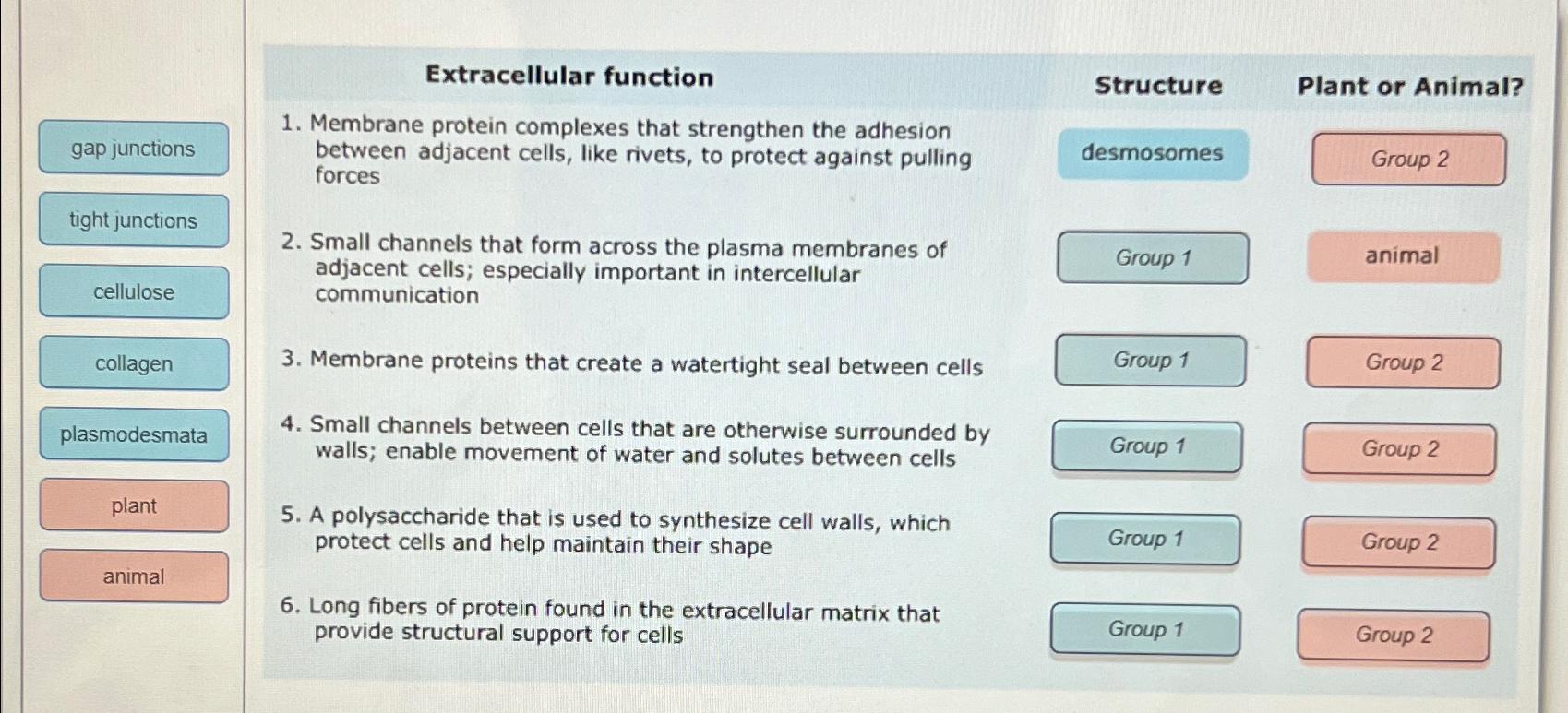 Solved Extracellular functionMembrane protein complexes that | Chegg.com