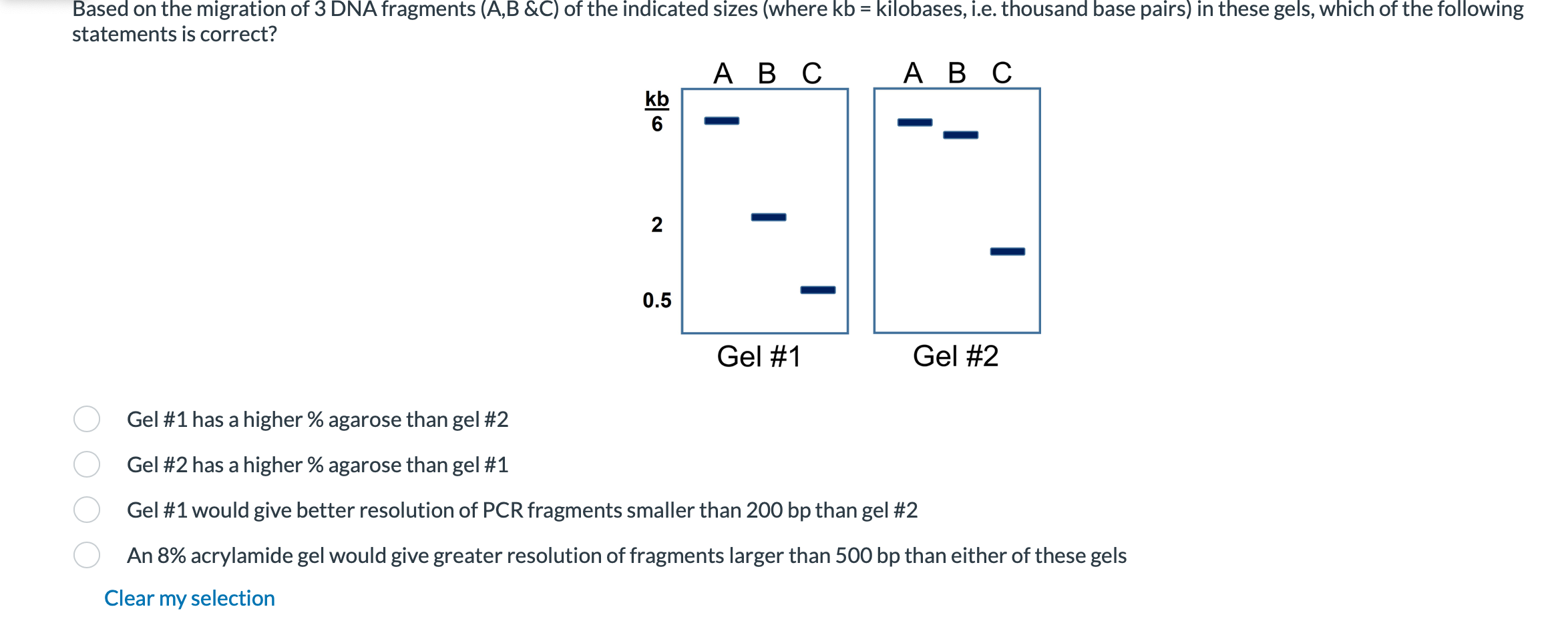 Solved Based on the migration of 3 ﻿DNA fragments (A,B&C) | Chegg.com