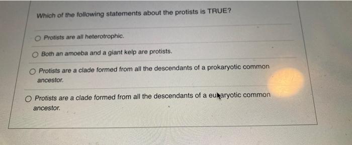 Solved Which of the following statements about the protists | Chegg.com