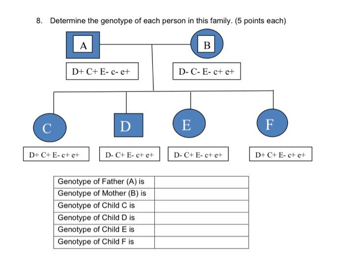 Solved 8. Determine the genotype of each person in this | Chegg.com