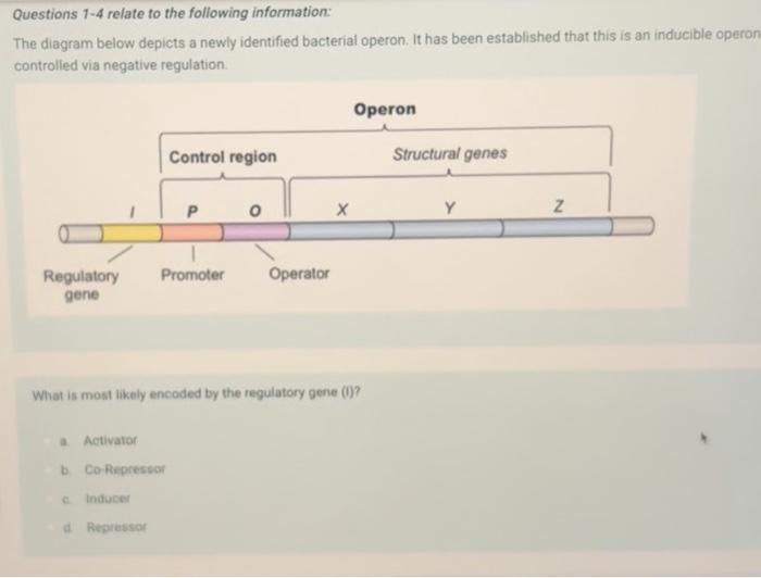 Solved Questions 1-4 relate to the following information: | Chegg.com