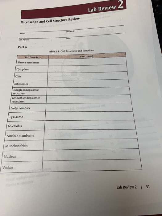 Solved Lab Review 2 Microscope and Cell Structure Review | Chegg.com