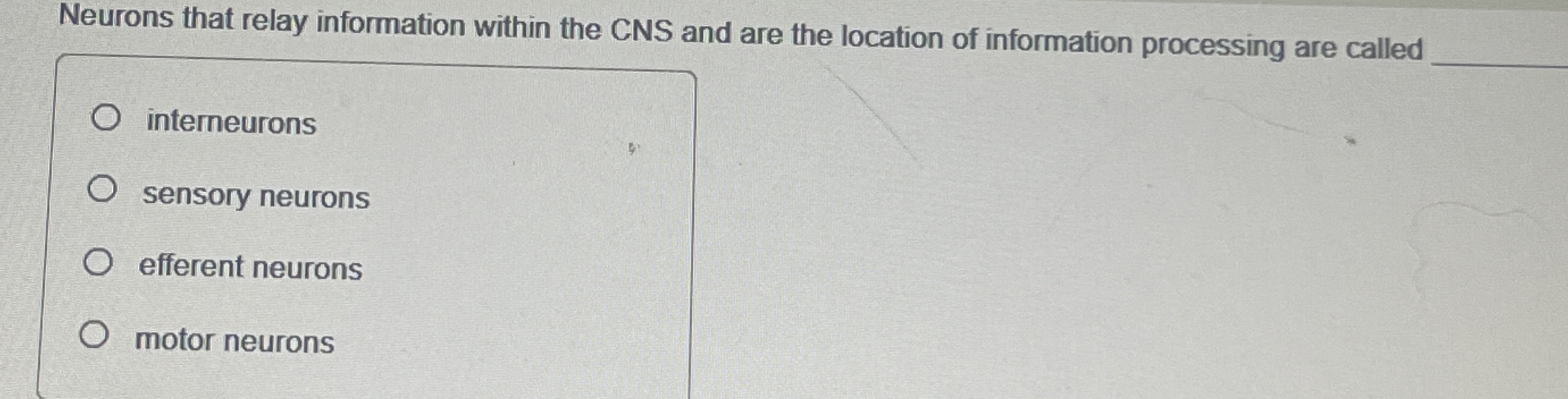 Solved Neurons that relay information within the CNS and are | Chegg.com