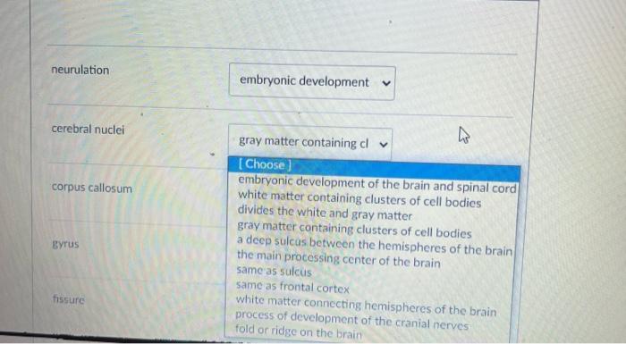 Solved match with the correct term match the terms with its | Chegg.com