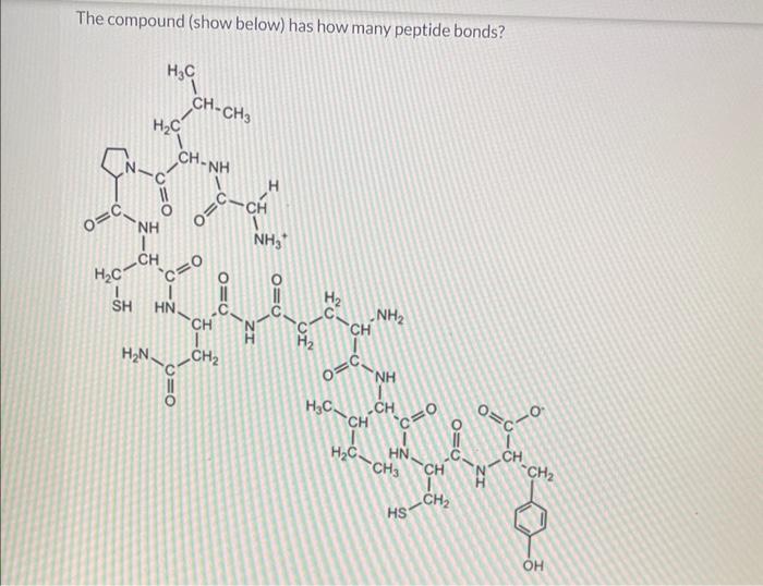 Solved The compound (show below) has how many peptide bonds? | Chegg.com