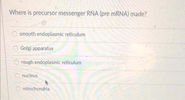 Solved Where is precursor messenger RNA (pre mRNA) made? | Chegg.com