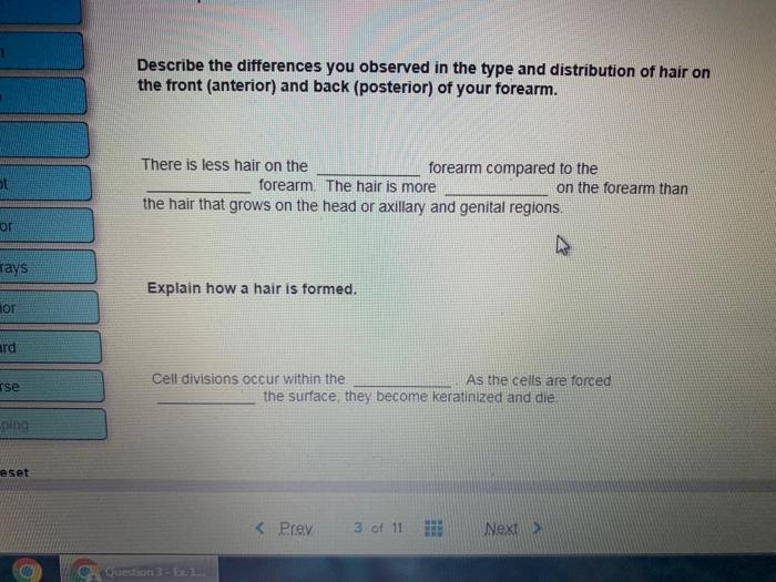 Solved Describe the differences you observed in the type and | Chegg.com