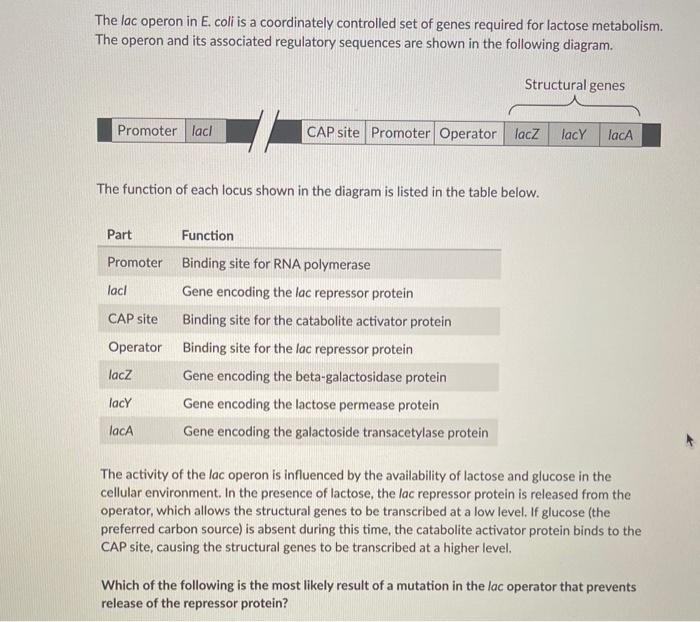 Solved The lac operon in E. coli is a coordinately | Chegg.com