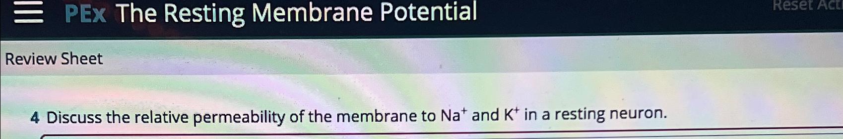 Solved PEx The Resting Membrane PotentialReview Sheet4 | Chegg.com