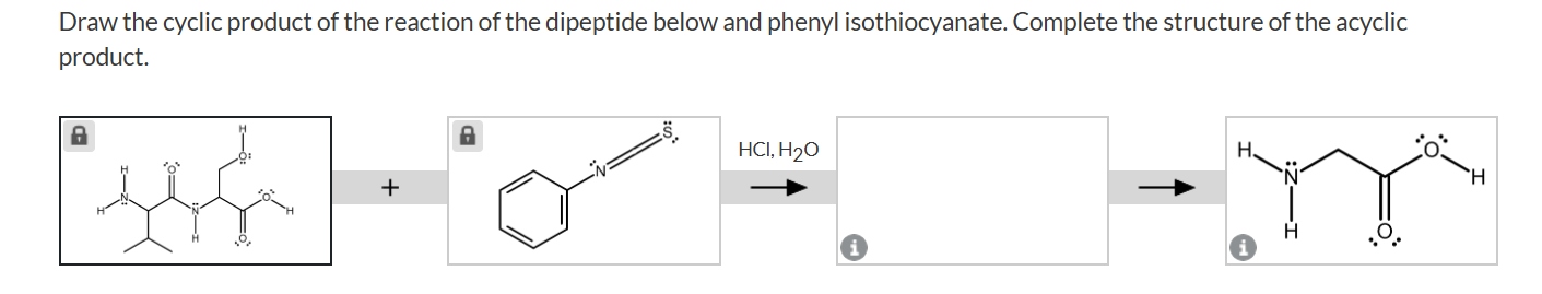Solved Draw the cyclic product of the reaction of the | Chegg.com