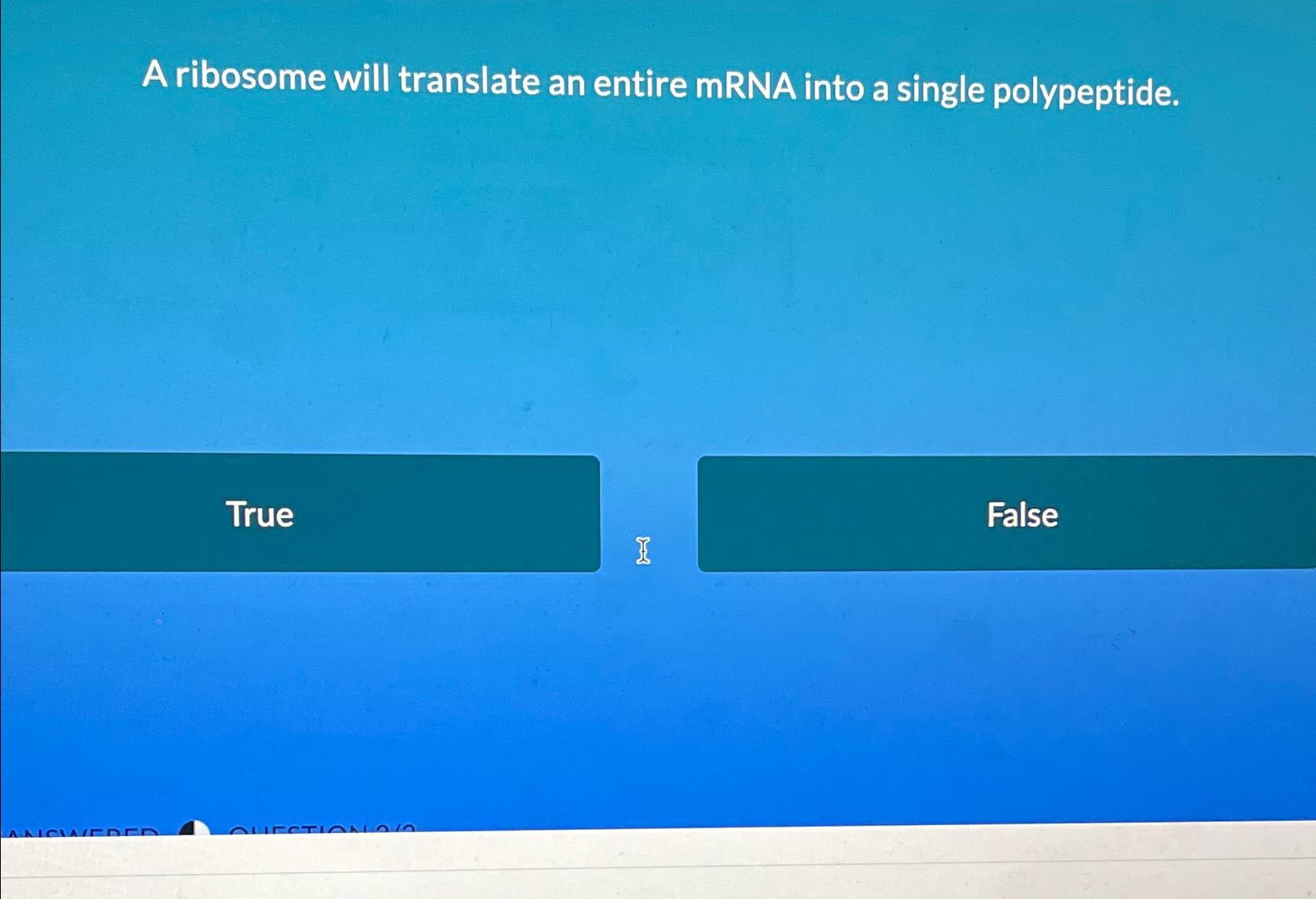 Solved A ribosome will translate an entire mRNA into a | Chegg.com