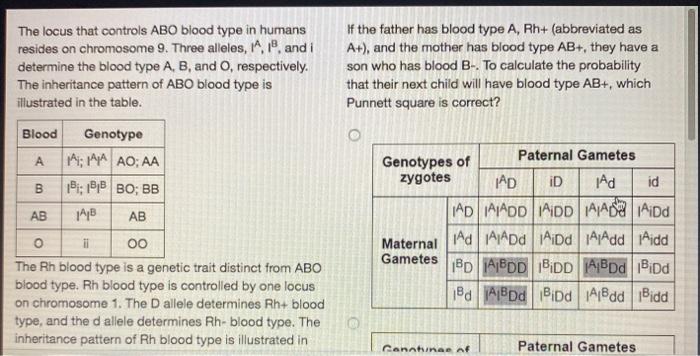 Solved The locus that controls ABO blood type in humans | Chegg.com Solved The locus that controls ABO blood type in humans | Chegg.com