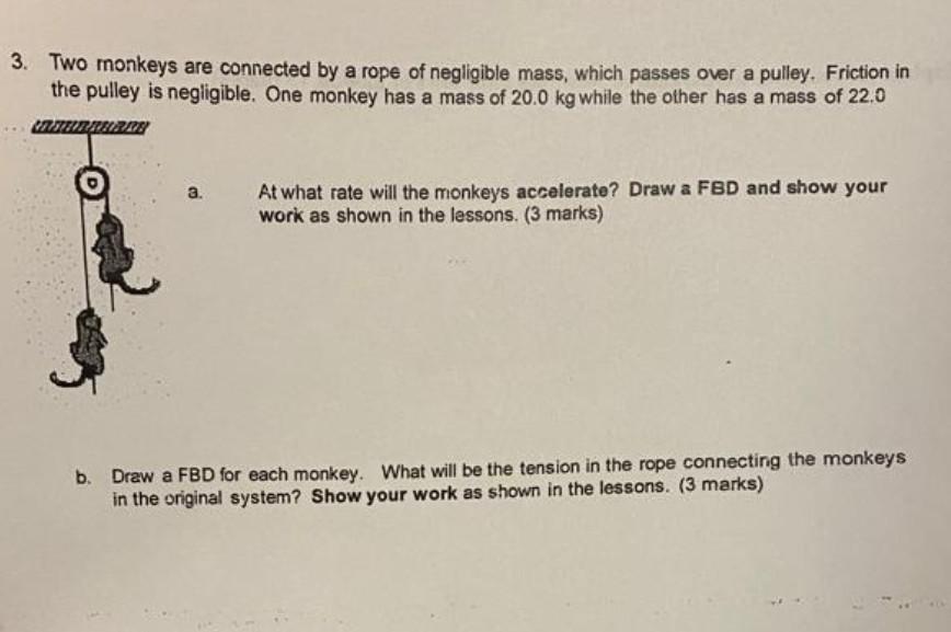 Solved 3. Two monkeys are connected by a rope of negligible | Chegg.com