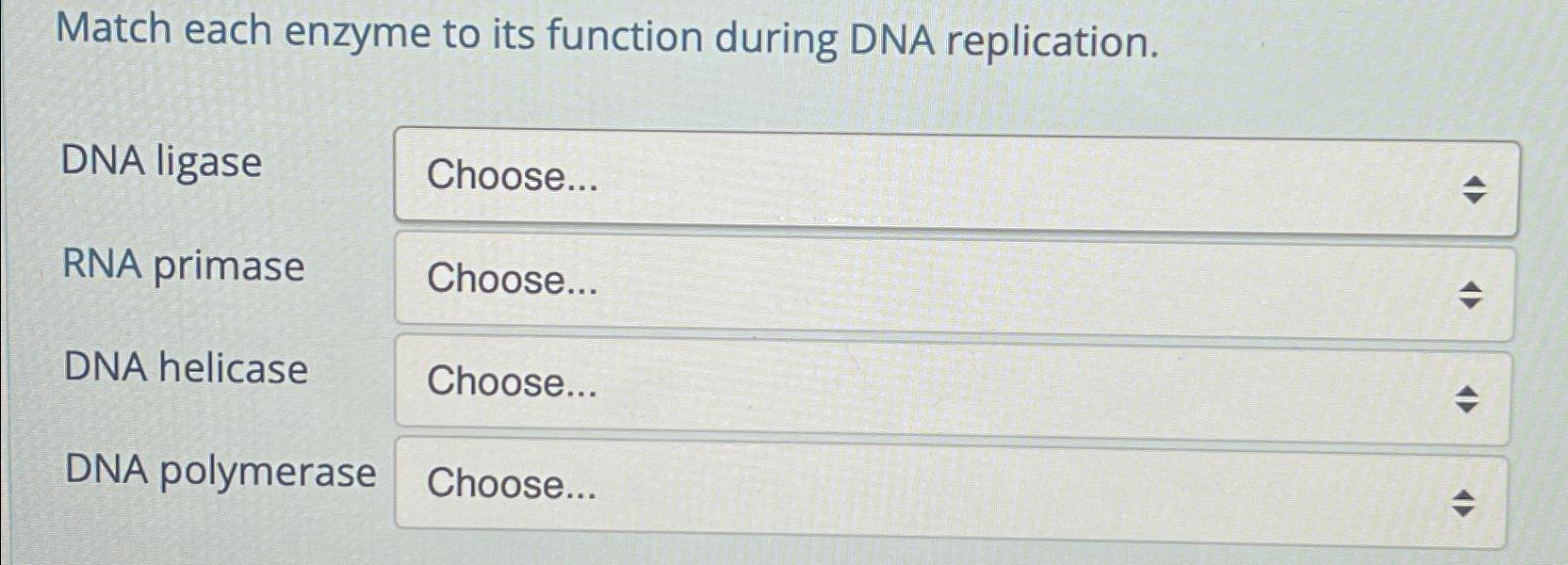 Solved Match each enzyme to its function during DNA | Chegg.com