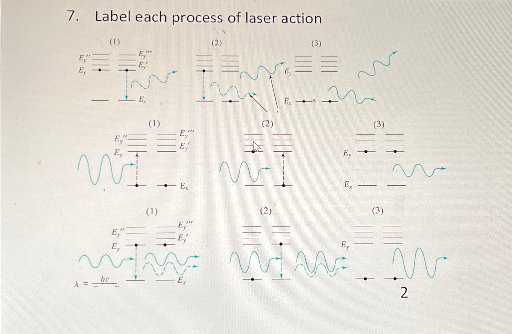 Solved Label each process of laser | Chegg.com