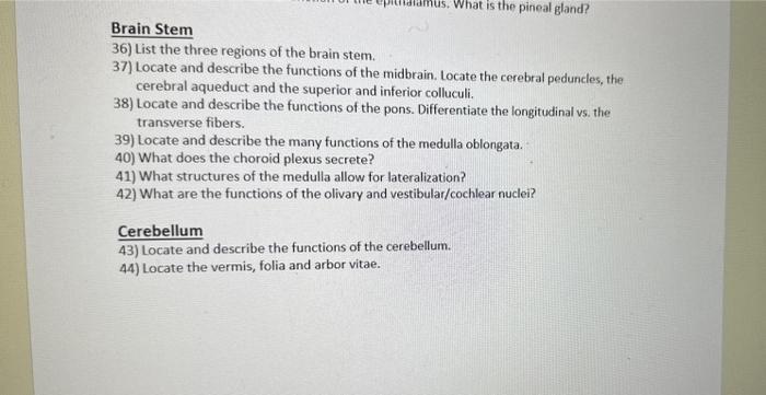 Solved Brain Stem 36) List the three regions of the brain | Chegg.com