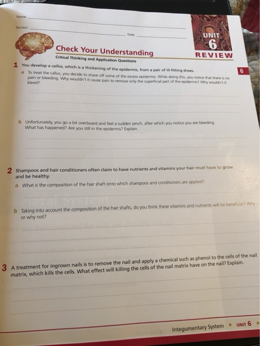Solved Section UNIT 1 Check Your Understanding REVIEW | Chegg.com