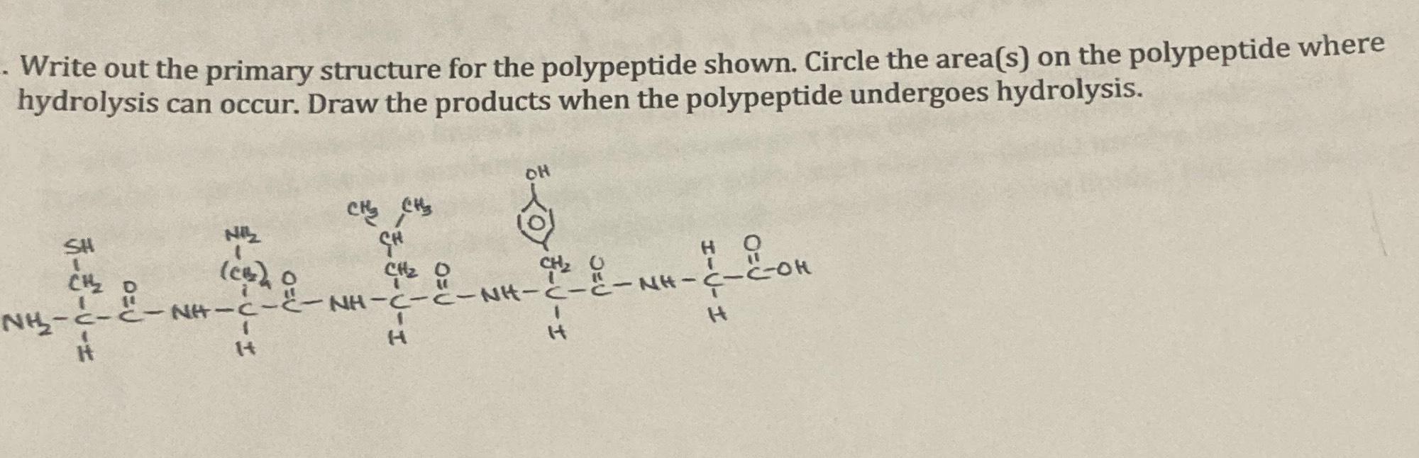 Solved Write out the primary structure for the polypeptide | Chegg.com