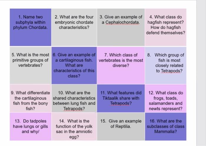 Solved 1. Name two subphyla within phylum Chordata 2. What | Chegg.com
