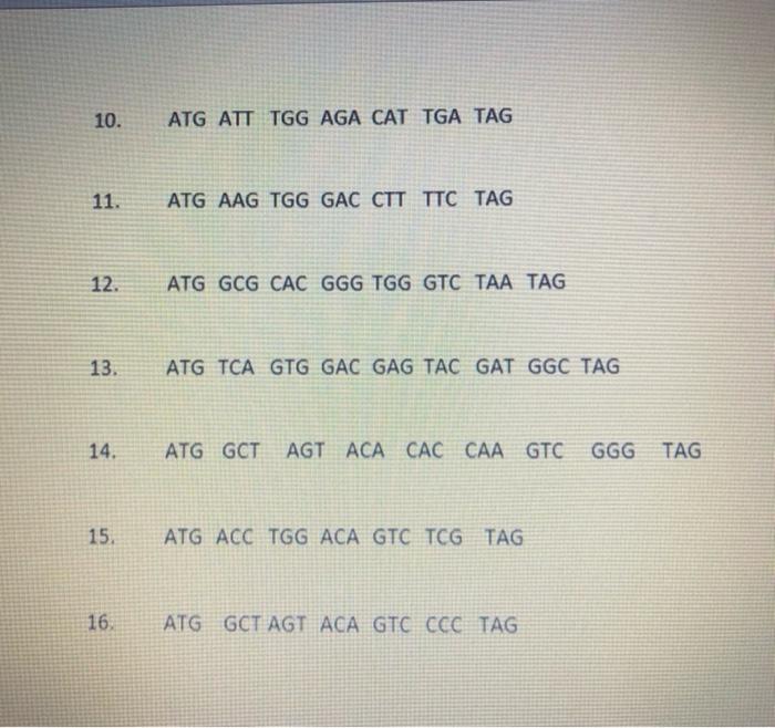 Solved Protein Synthesis Game For this activity you need to | Chegg.com