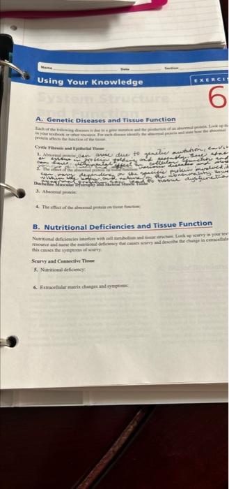 Solved Name Using Your Knowledge Date System Structure Comic | Chegg.com