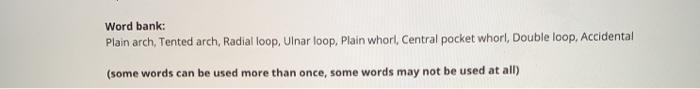 Solved Word bank: Plain arch. Tented arch, Radial loop, | Chegg.com