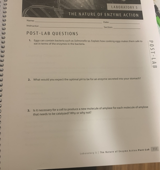 Solved LABORATORY 5 THE NATURE OF ENZYME ACTION Name: Date: | Chegg.com