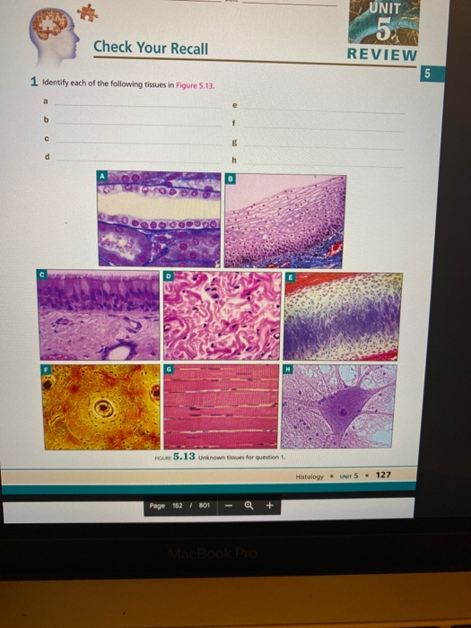 Solved UNIT Check Your Recall REVIEW 1 Identify each of the | Chegg.com