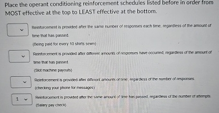 Solved Place the operant conditioning reinforcement | Chegg.com