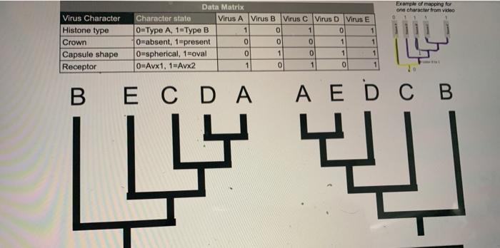 use the data matrix below to map the character state | Chegg.com