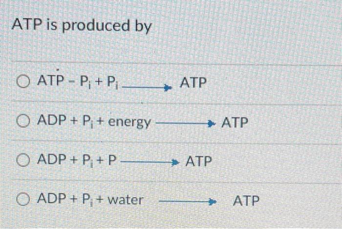 ATP is produced by ATP −Pi+Pi ATP ADP+Pi+ energy | Chegg.com
