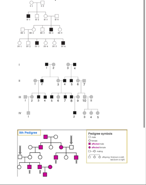 Solved For each pedigree below determine the most likely | Chegg.com