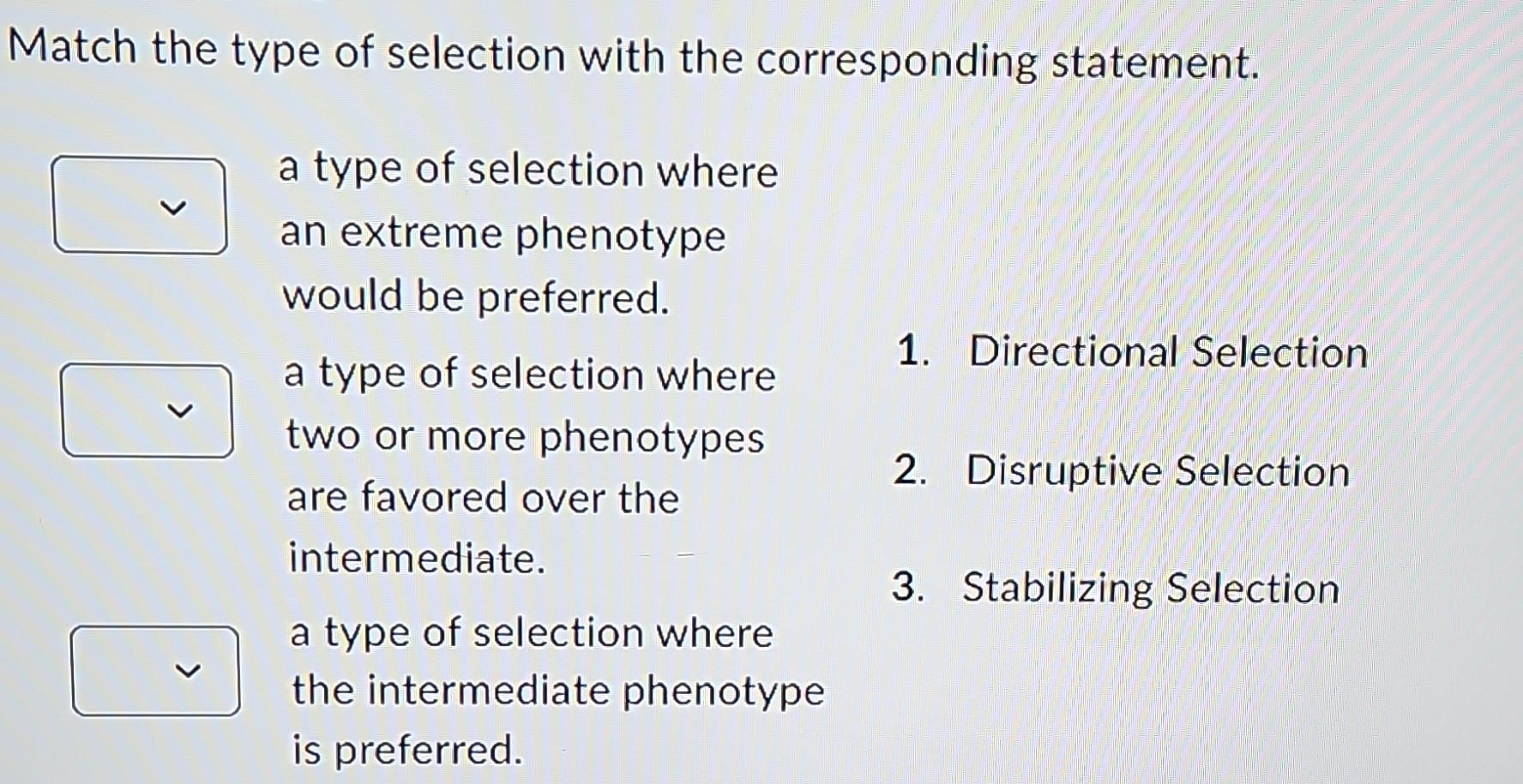 Solved Match the type of selection with the corresponding | Chegg.com