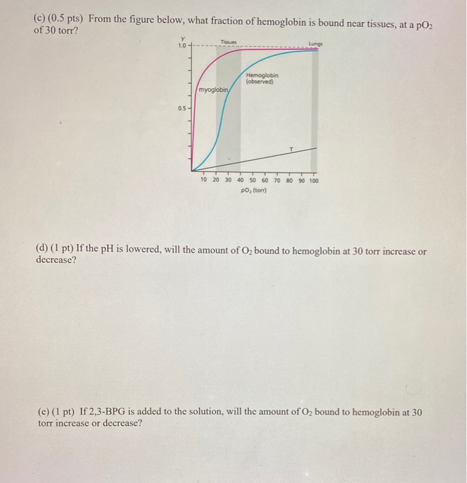 Solved 2. (4 pts total) From the figure of O2 binding to | Chegg.com