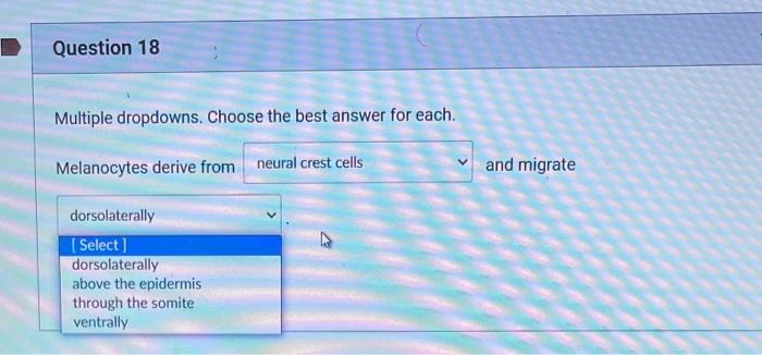 Solved Multiple dropdowns. Choose the best answer for each. | Chegg.com