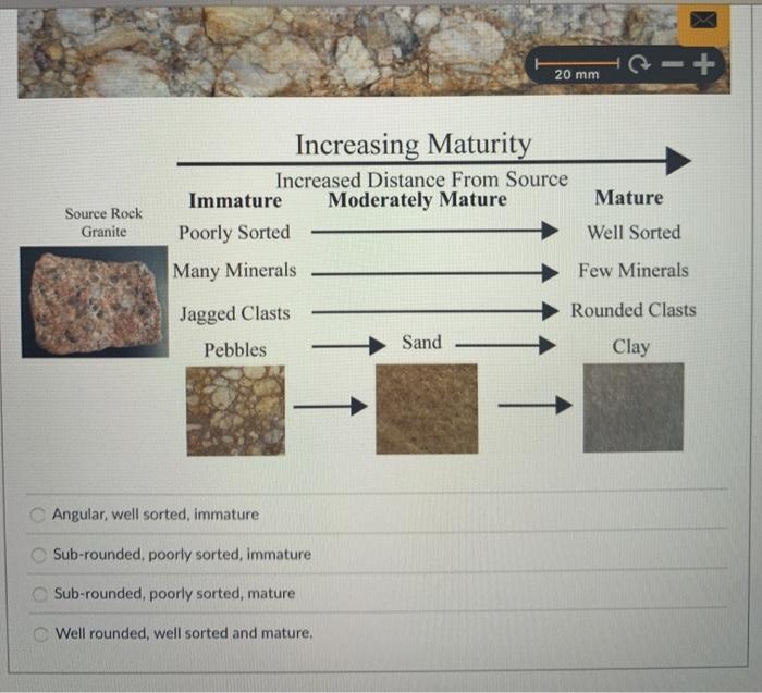 Solved Question 1 1 pts Describe the maturity of the | Chegg.com