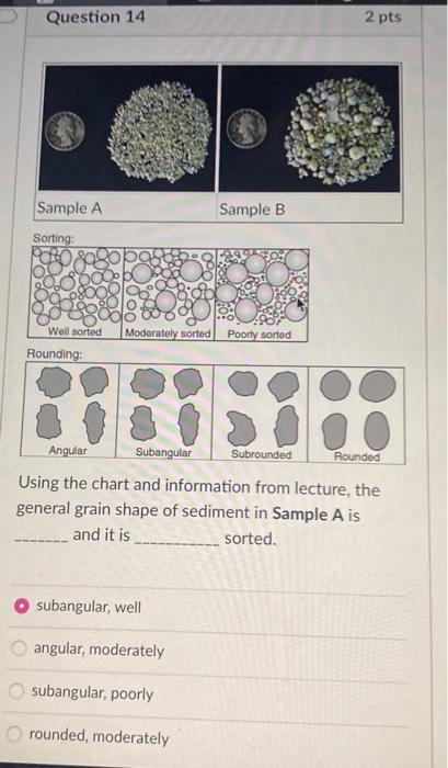 Solved Question 1 2 pts Rounding: Using the chart and | Chegg.com