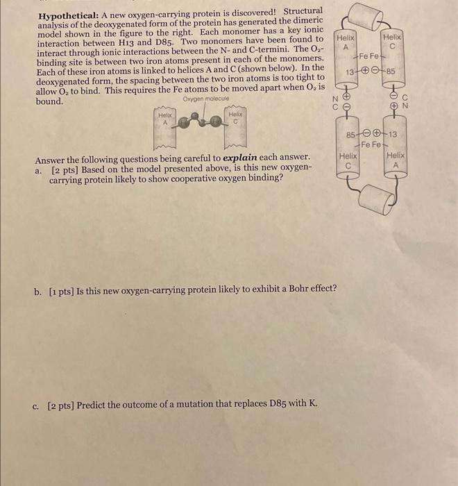 Solved Hypothetical: A new oxygen-carrying protein is | Chegg.com
