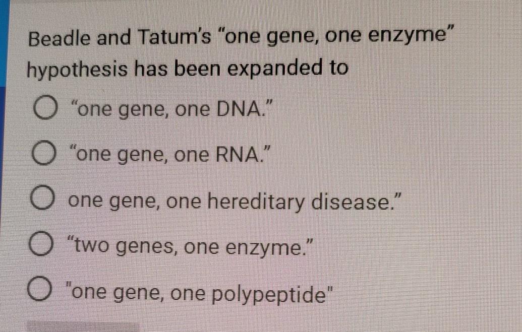 Solved Beadle and Tatum's "one gene, one enzyme" hypothesis | Chegg.com
