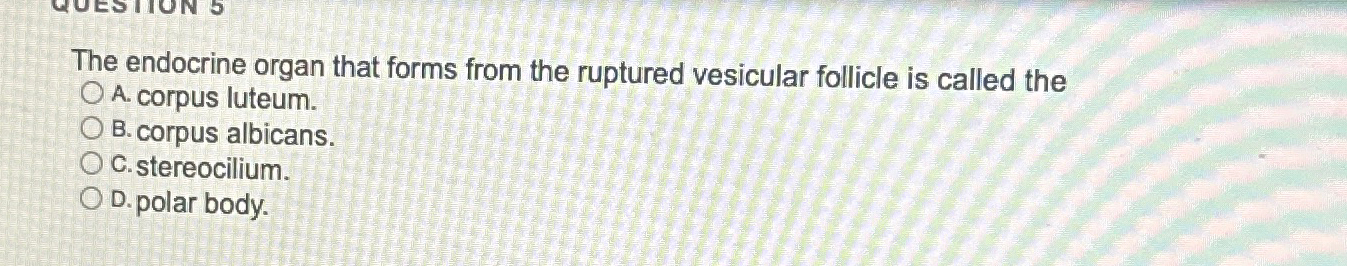 Solved The endocrine organ that forms from the ruptured | Chegg.com