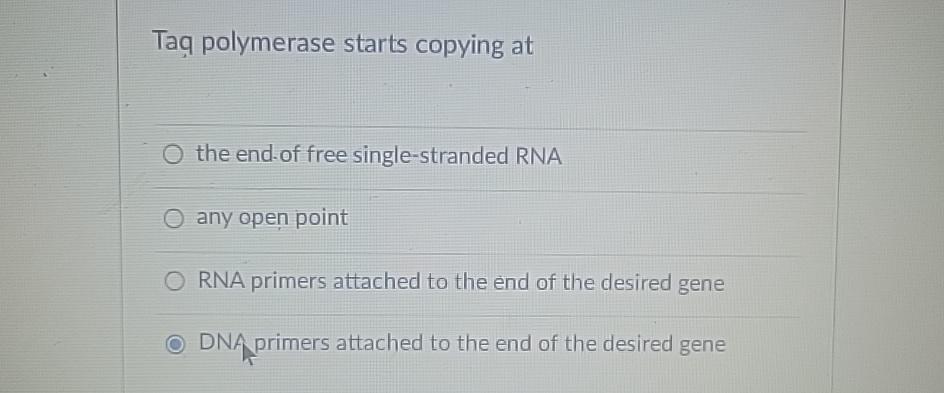 Solved Taq polymerase starts copying atthe end of free | Chegg.com