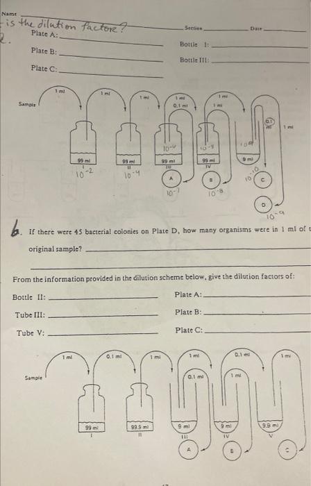 Bacteriat Colony Count by the Dilution Plating Method | Chegg.com