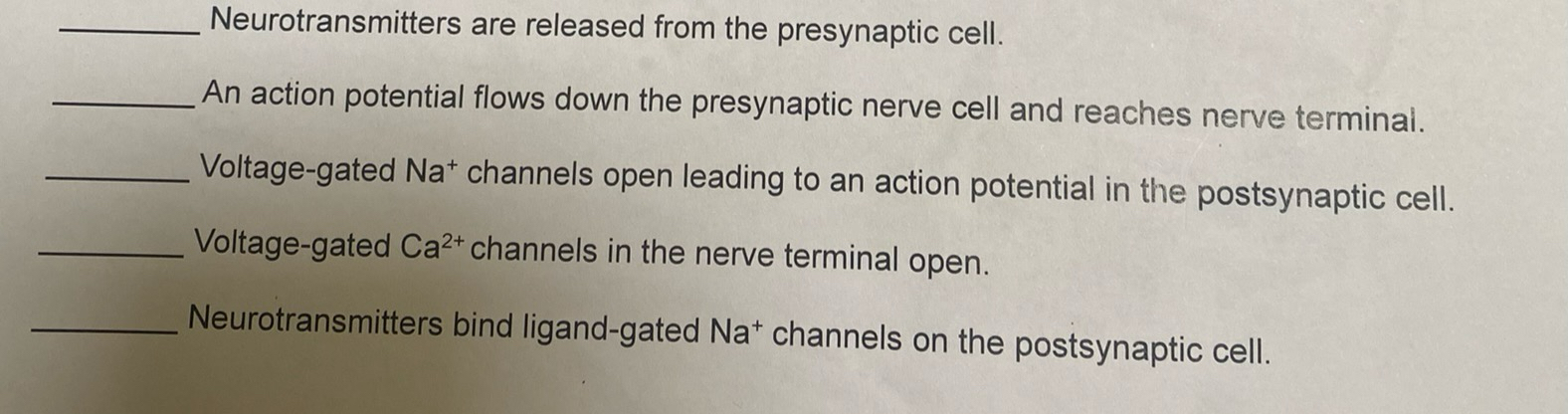 Solved ﻿Neurotransmitters are released from the | Chegg.com